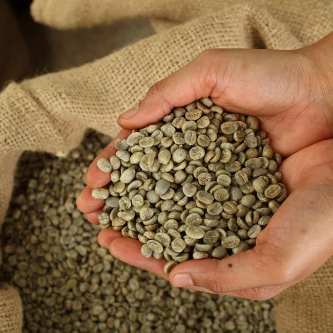 Specialty green coffee beans store