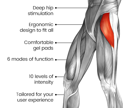 Hip Trainer | Muscle Gain And Weight Management Device | WeightWorld